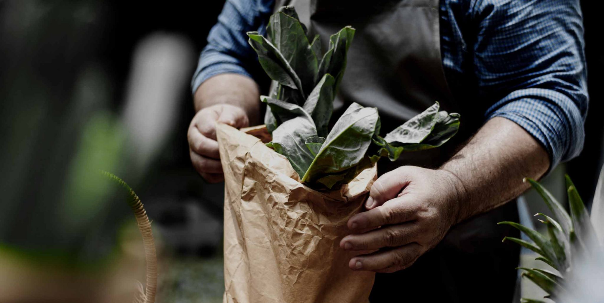 Locavore: qué es y qué alimentos puede consumir - Repagas