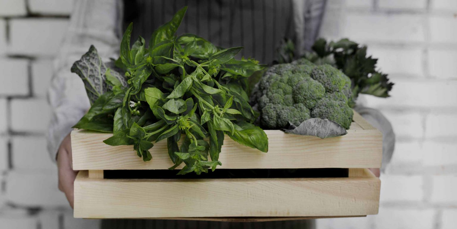 Locavore: qué es y qué alimentos puede consumir - Repagas